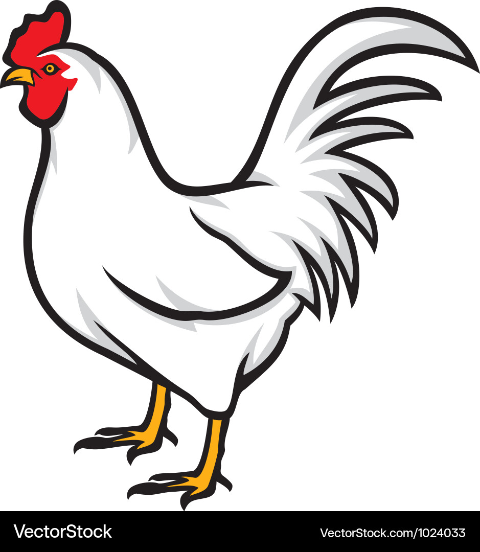 Rooster Royalty Free Vector Image - VectorStock