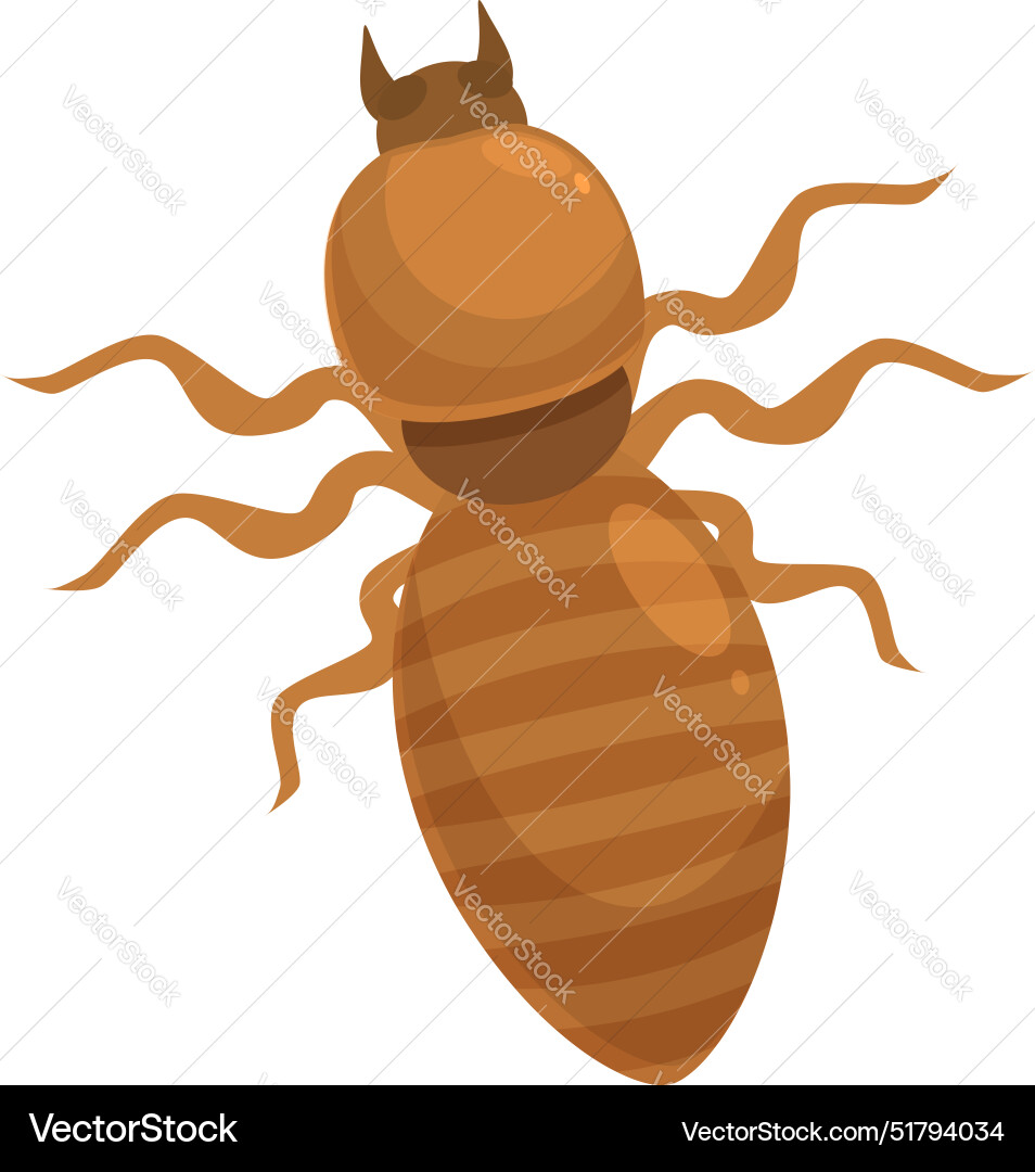 Dangerous termite walking on white background Vector Image