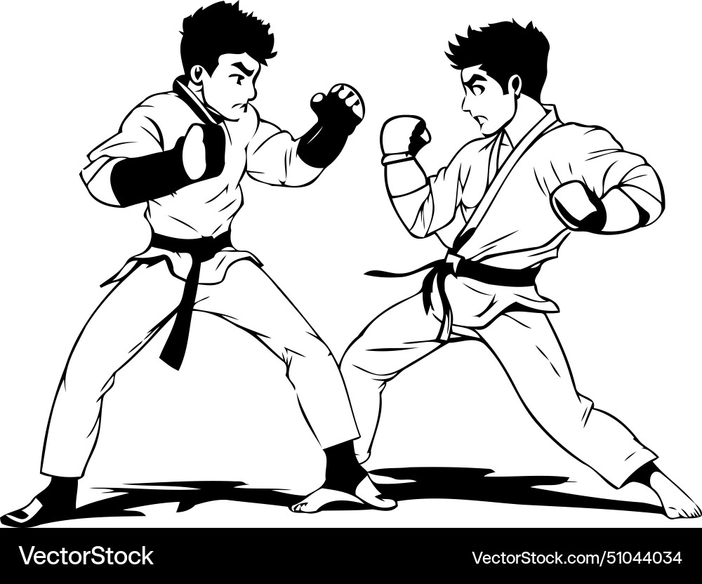 Martial arts two karate fighters in action Vector Image