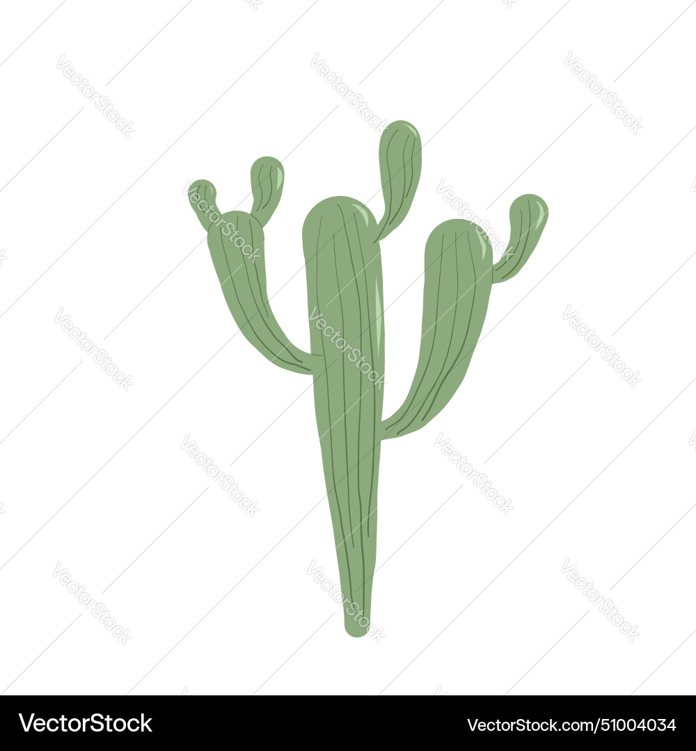 Nopal mexican cacti cactus isolation on white Vector Image