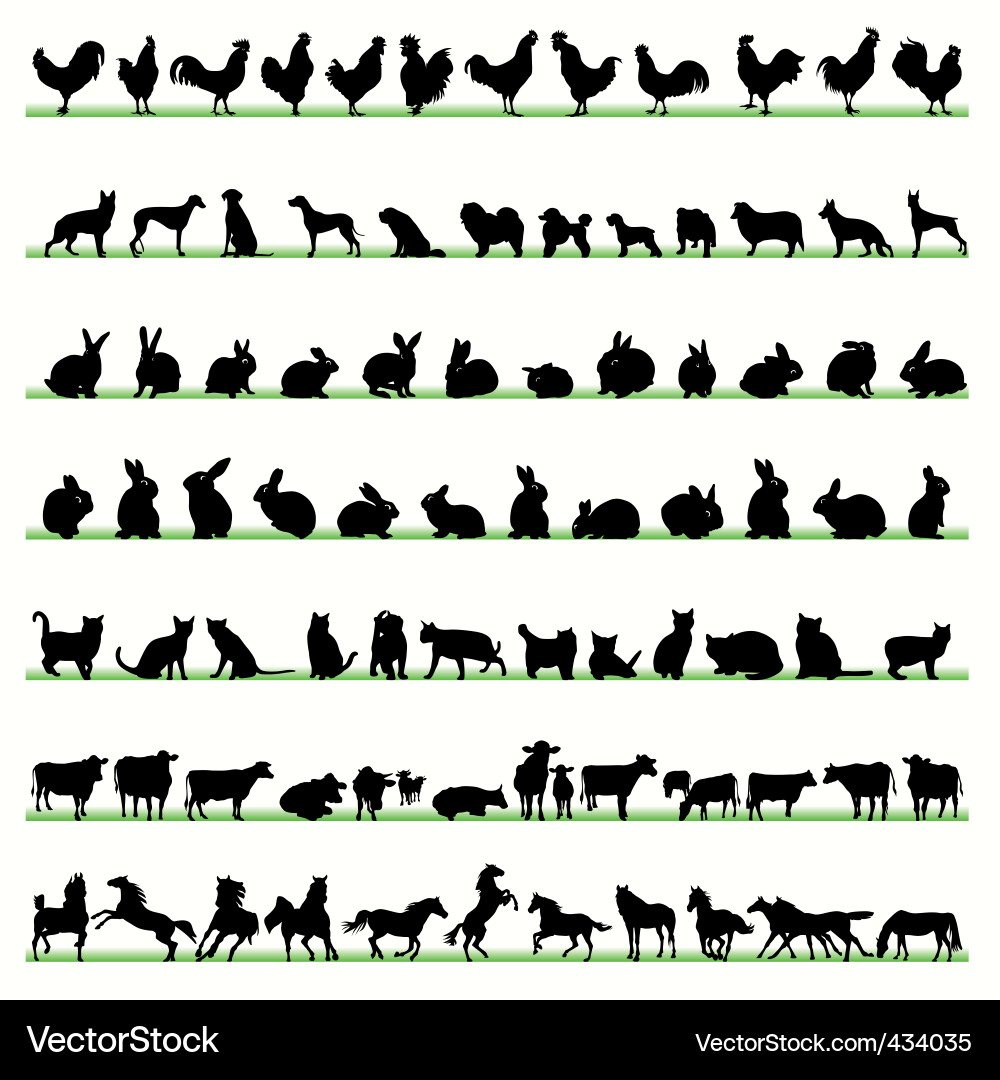 Farm animals Royalty Free Vector Image - VectorStock