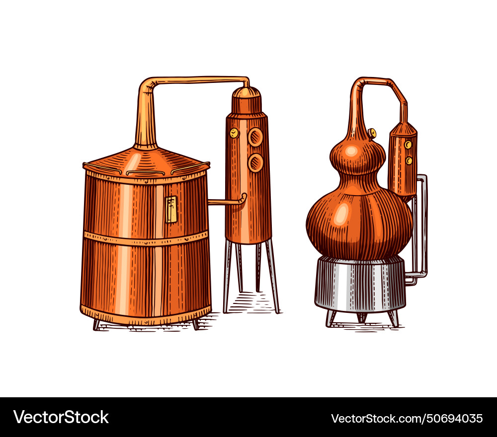 Vintage Spirit Still Illustration Royalty Free Vector Image