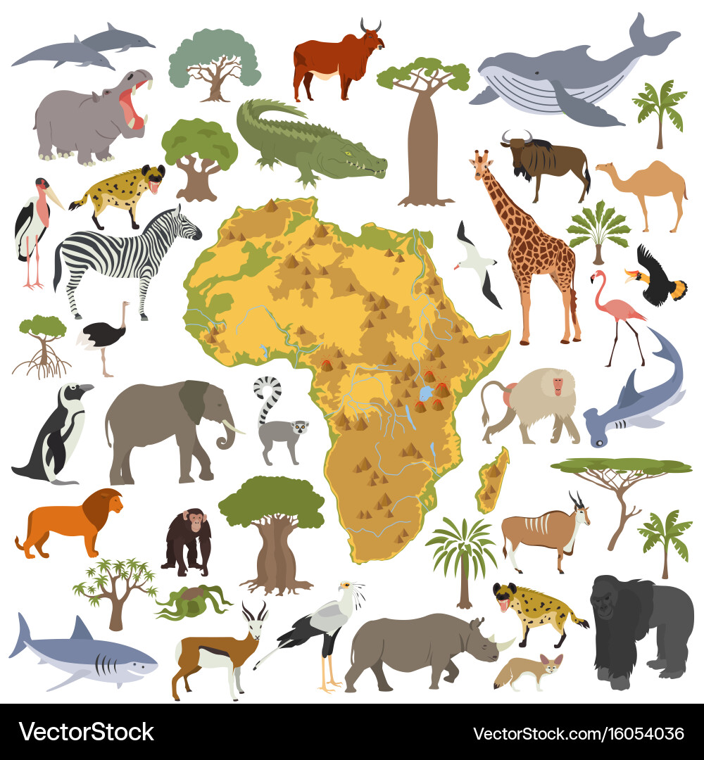 African Animals and Flora Map Royalty Free Vector Image