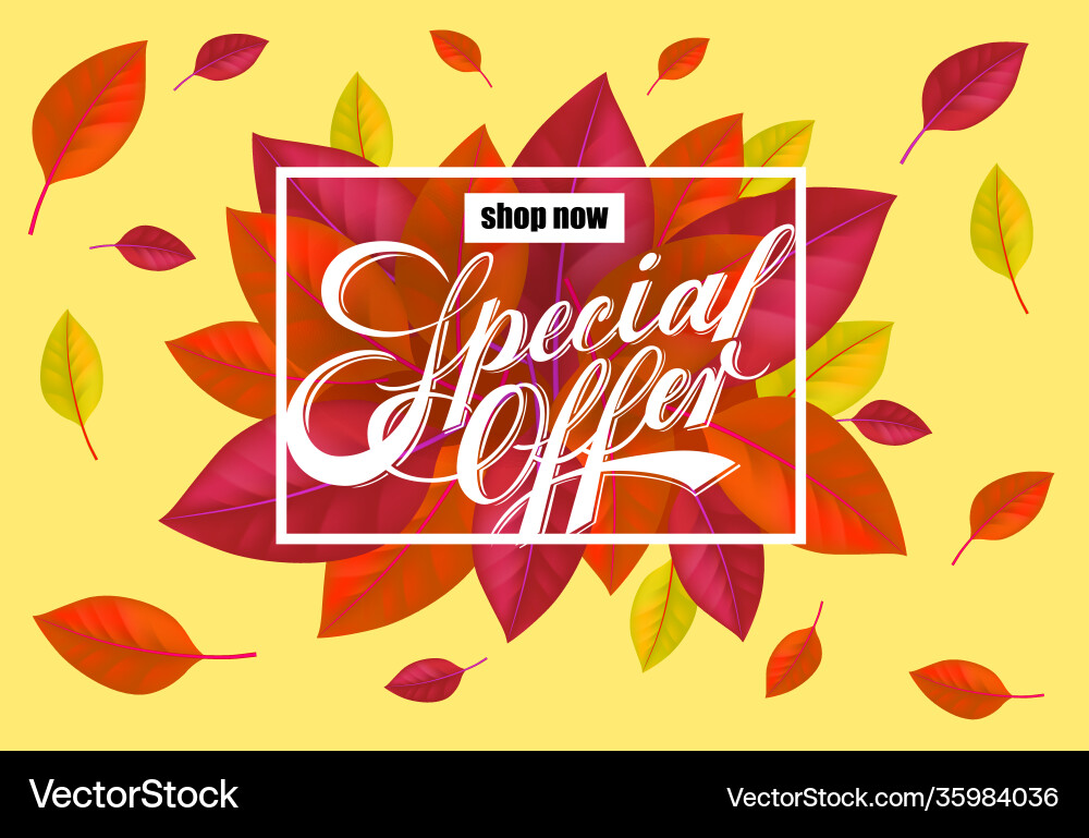 Shop now special offer lettering with bright Vector Image