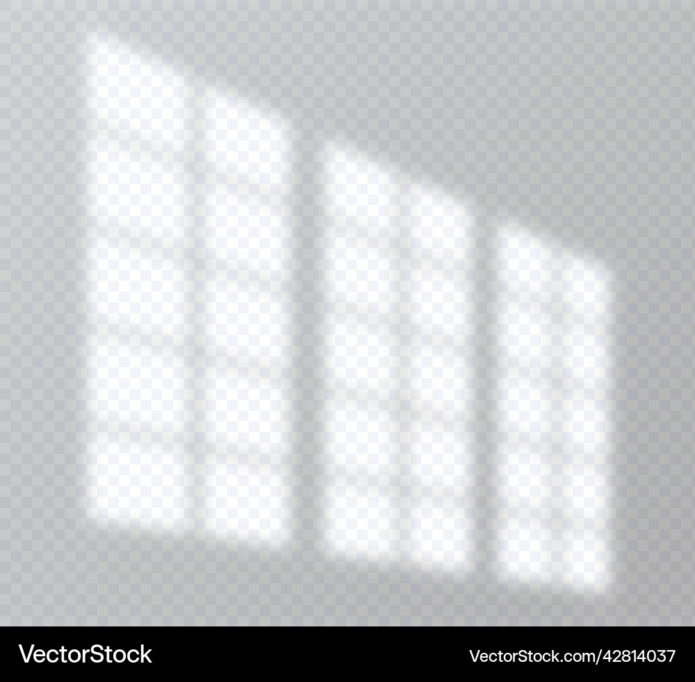 Shadow overlay effect soft light and shadows Vector Image