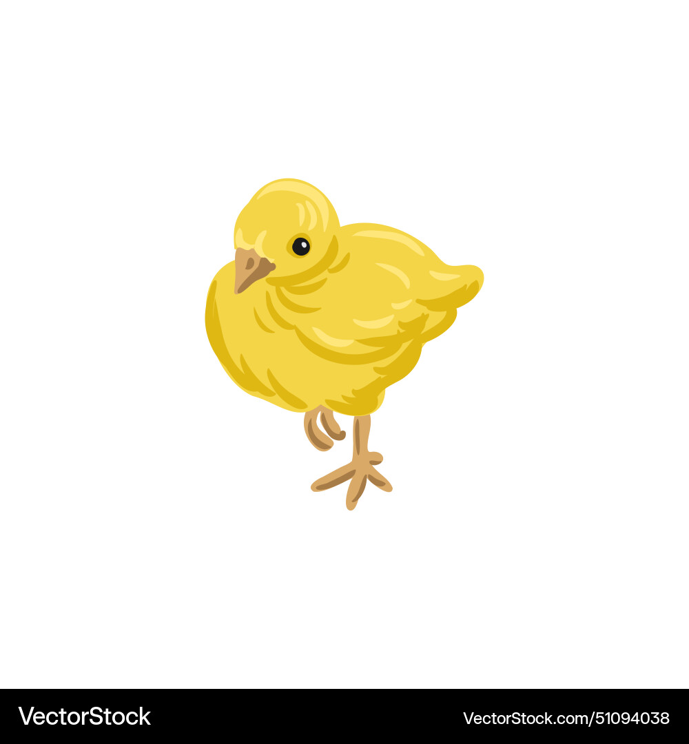 Drawing chick bird Royalty Free Vector Image - VectorStock