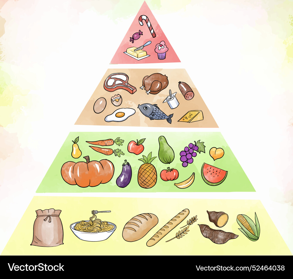 Food essentials in nutrition pyramid Royalty Free Vector