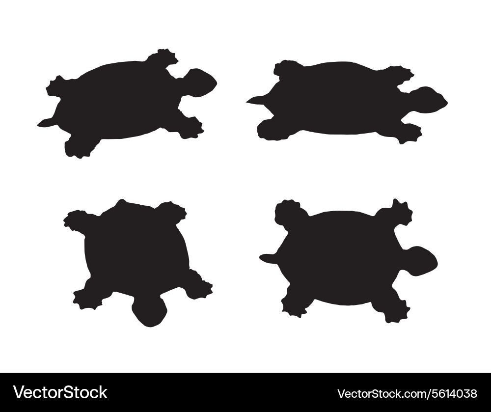 Turtle Royalty Free Vector Image - VectorStock