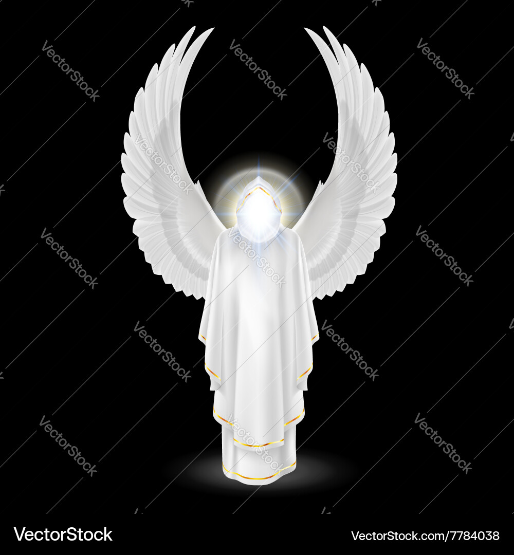 White angel on black Royalty Free Vector Image