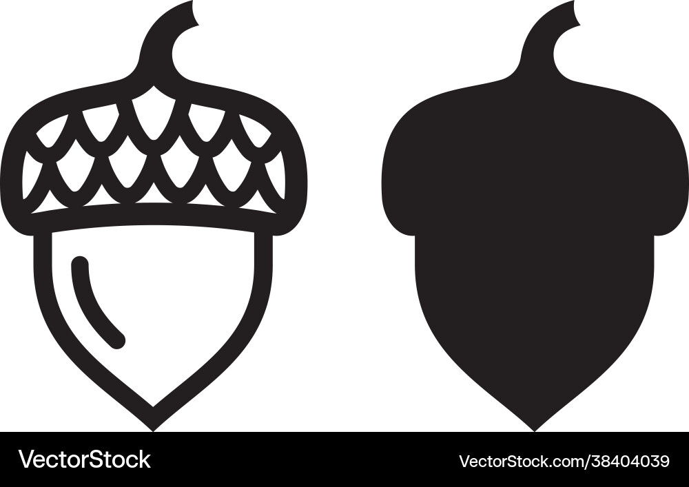 Acorn Royalty Free Vector Image - VectorStock