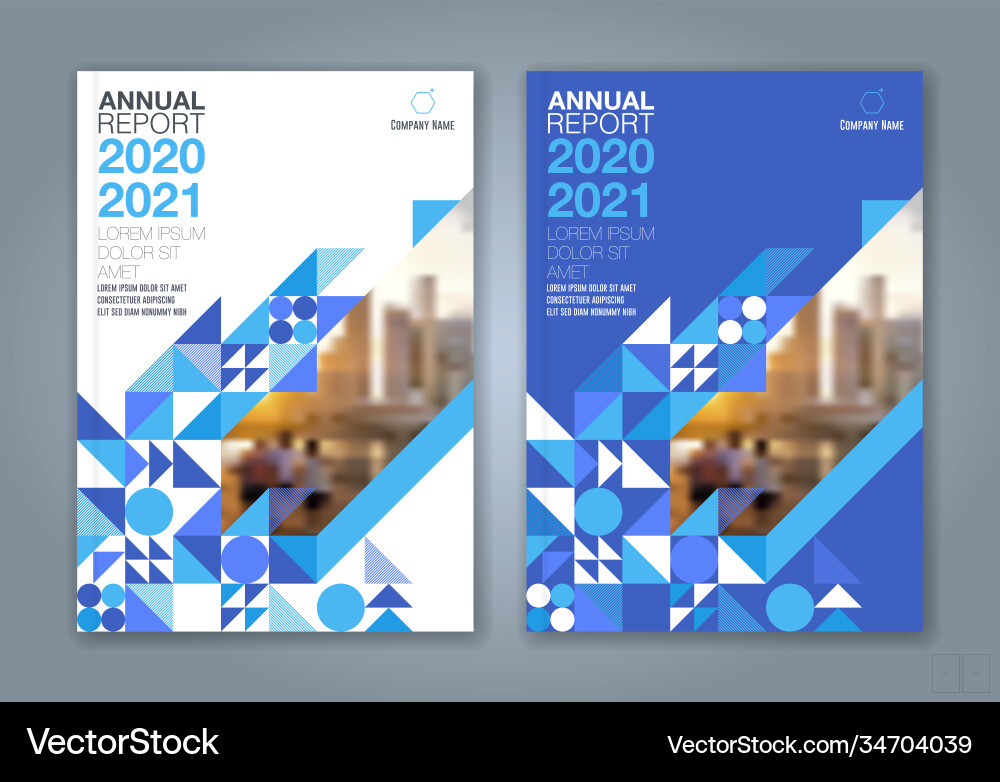 Cover annual report 2062 Royalty Free Vector Image