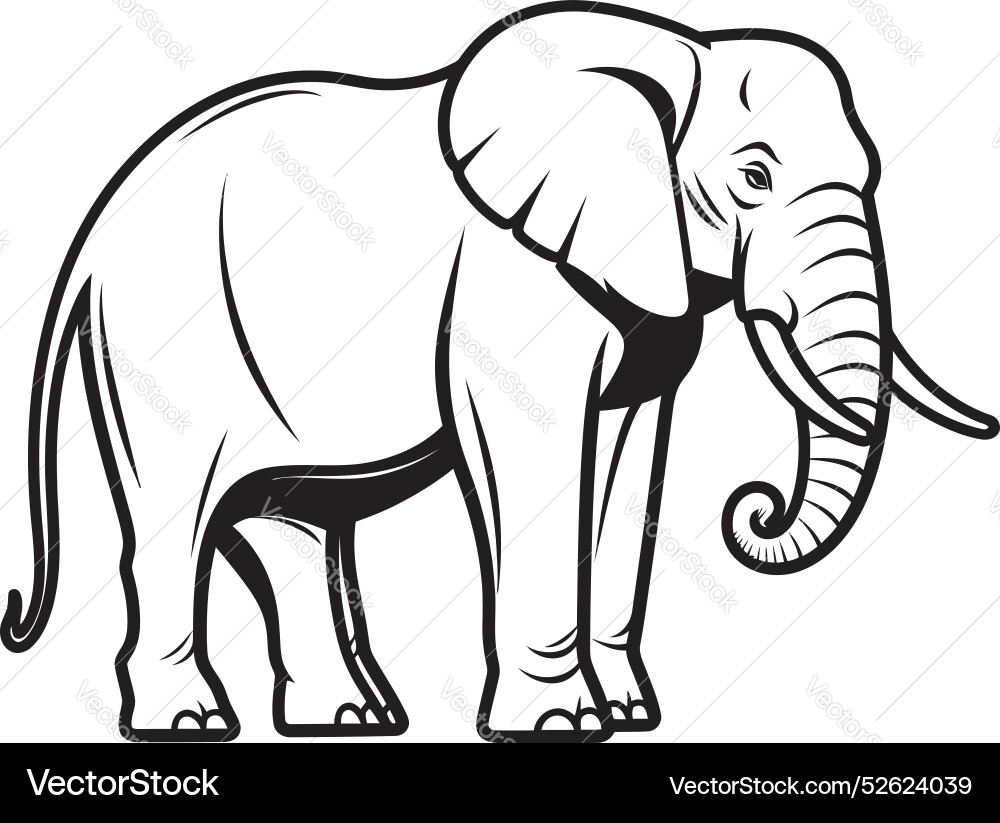 Elephant elegance design the graceful beauty Vector Image