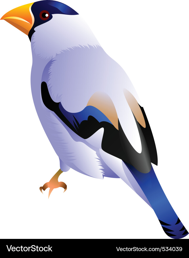 White bird Royalty Free Vector Image - VectorStock