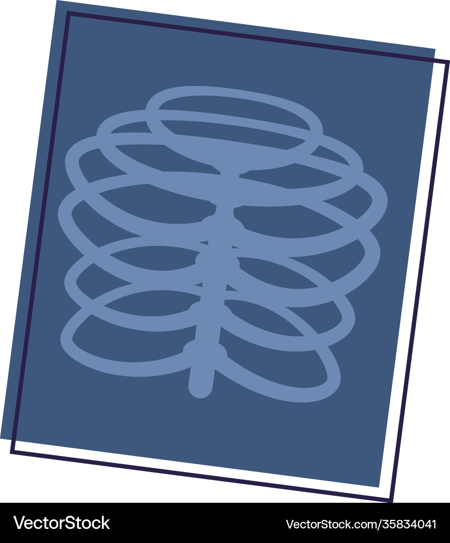 Flat x-ray Royalty Free Vector Image - VectorStock