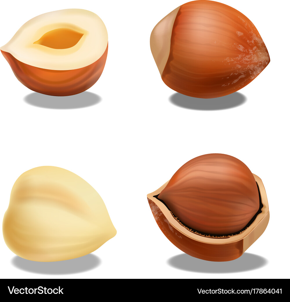 Hazelnuts set realistic Royalty Free Vector Image