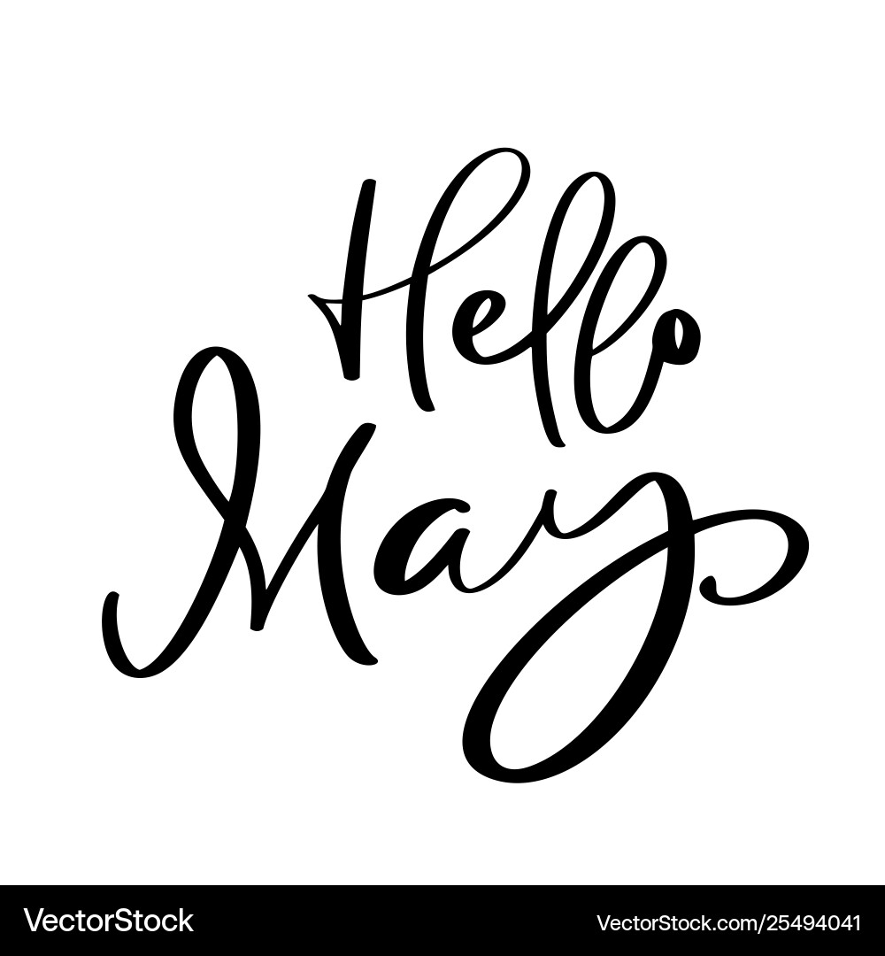 Hello may hand drawn calligraphy text and brush Vector Image