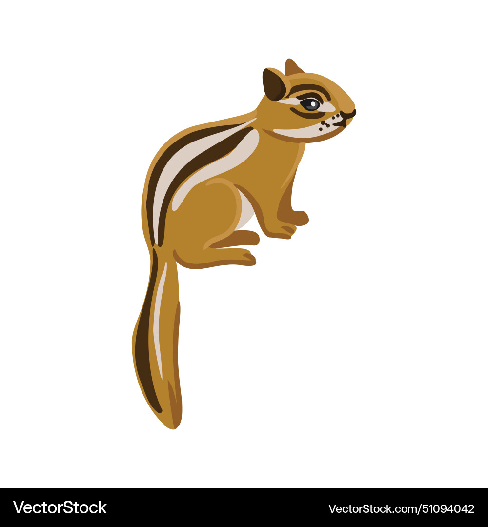 Drawing chipmunk animal Royalty Free Vector Image