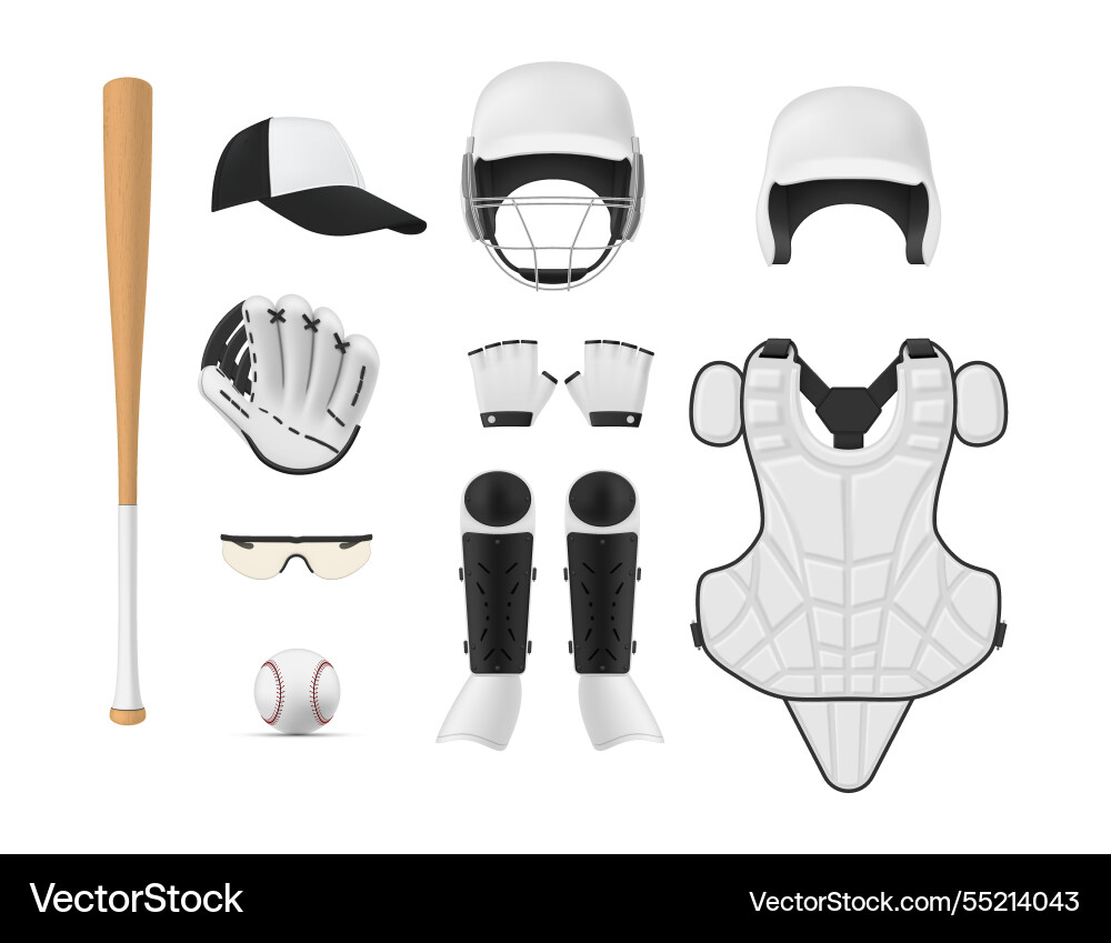 Baseball equipment collection including bat glove Vector Image