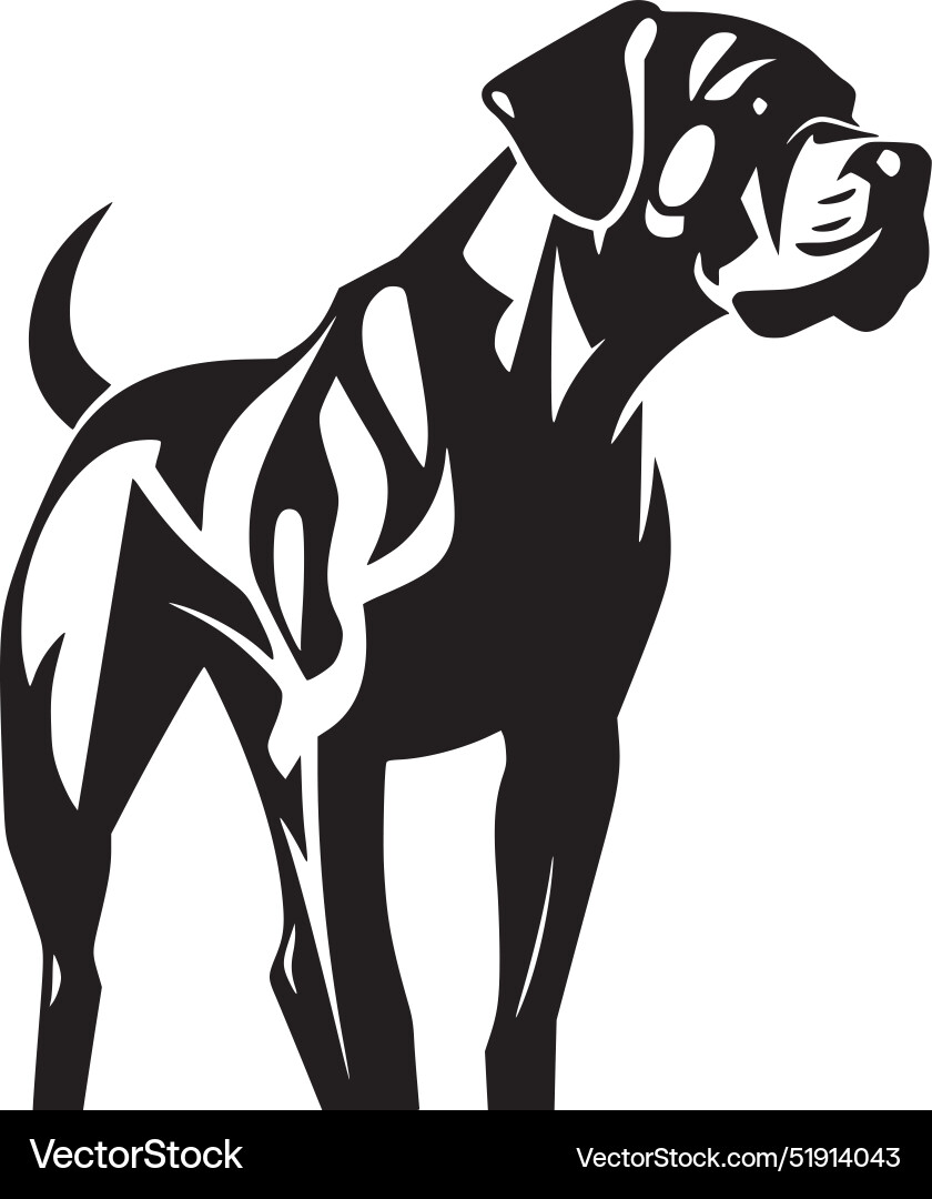 Boxer - black and white Royalty Free Vector Image