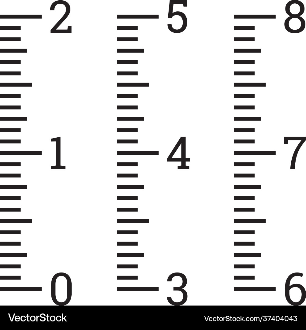 Kids growing scale Royalty Free Vector Image - VectorStock