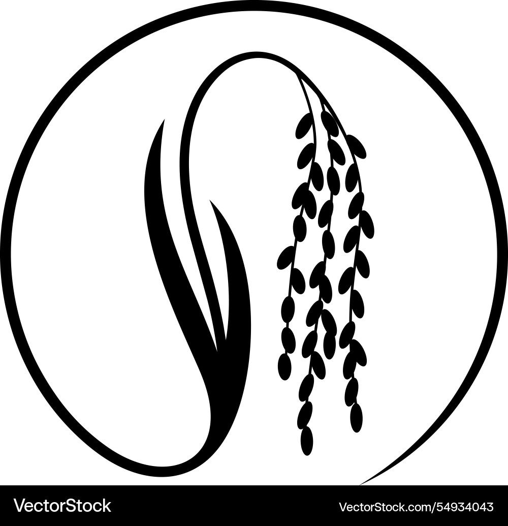 Rice Royalty Free Vector Image - VectorStock