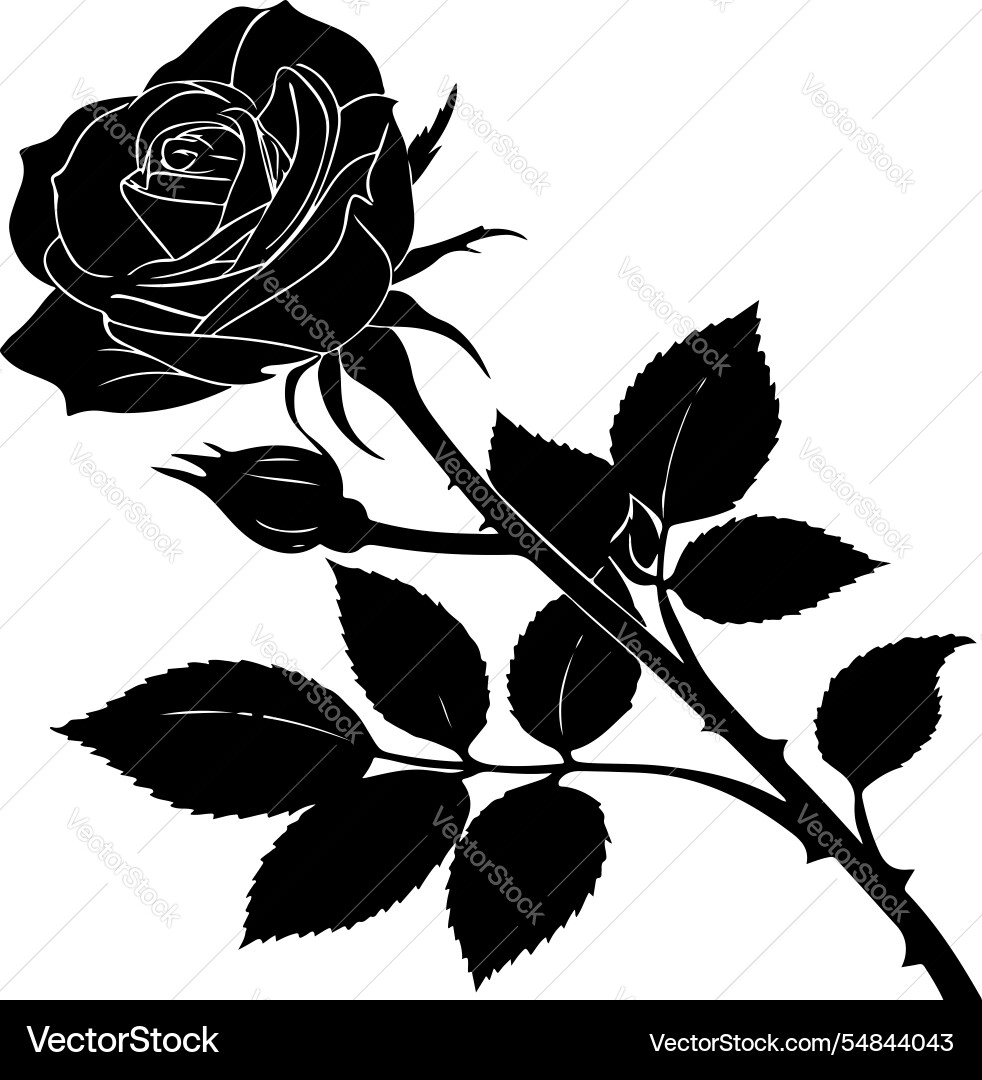 Stylized rose silhouette for creative designs Vector Image