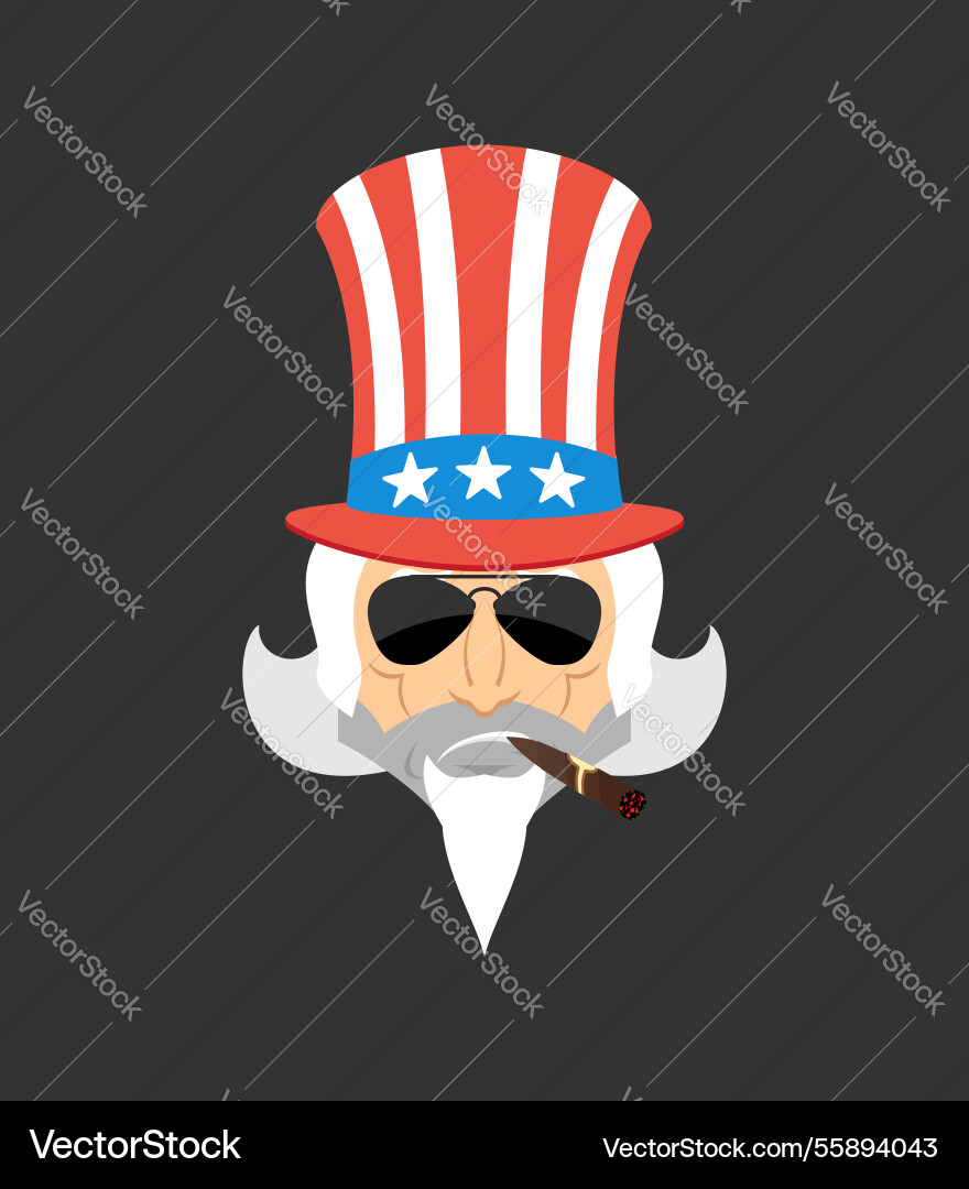 Uncle sam cool serious avatar of emotions man Vector Image