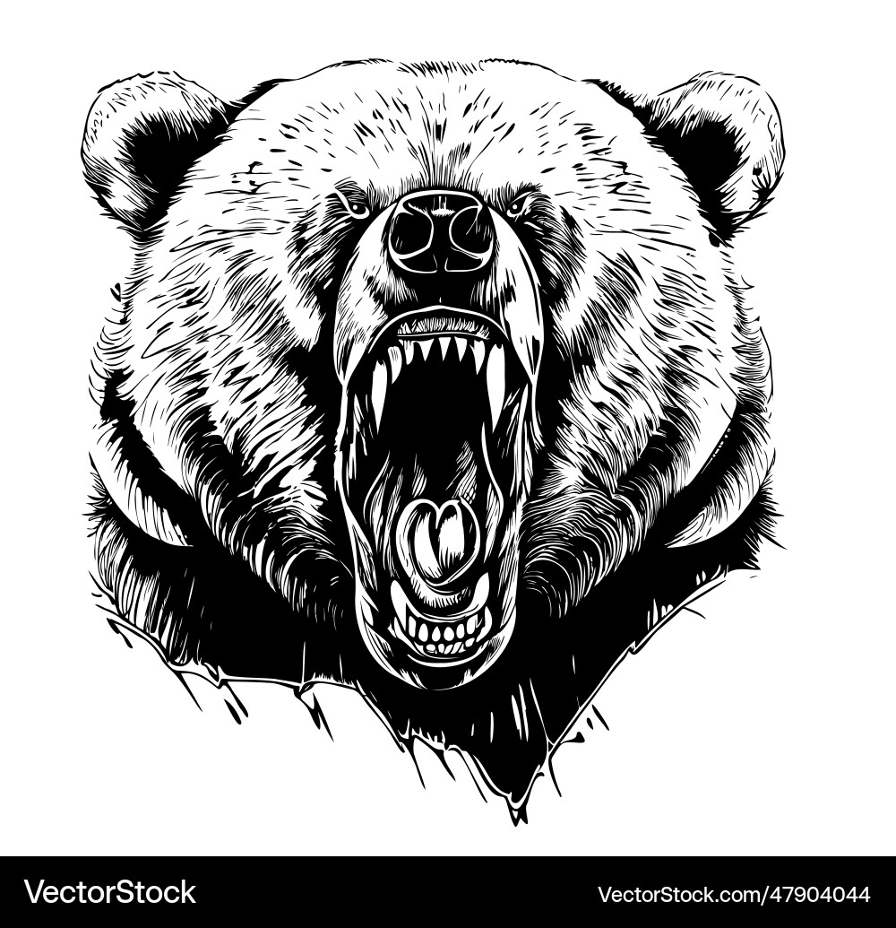 Angry bear face sketch hand drawn grizzly Vector Image