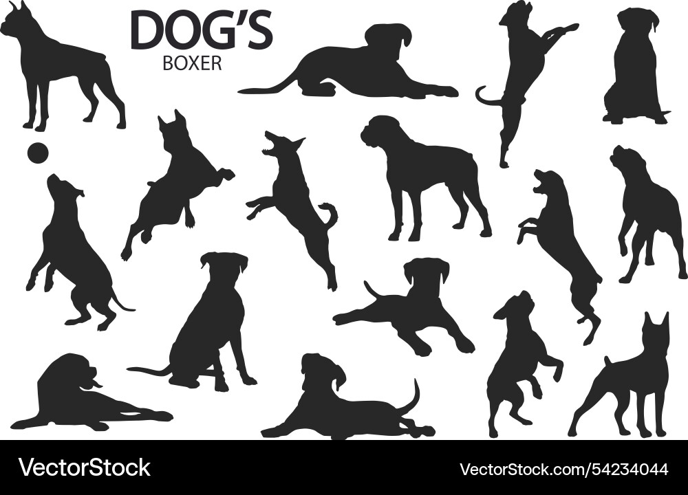 Boxer dog silhouettes Royalty Free Vector Image