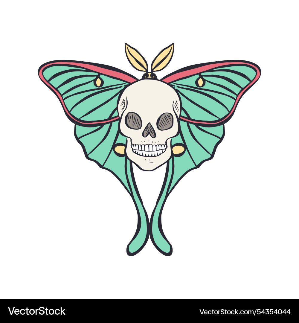 Hand drawn human skull with teal luna moth wings Vector Image