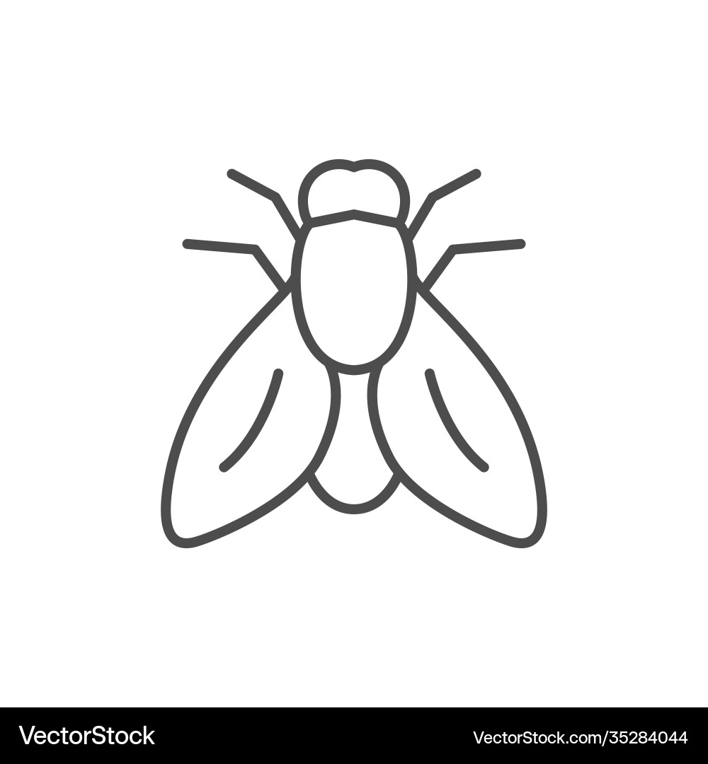 Insect Outline - Fly Icon – Royalty-Free Vector | VectorStock