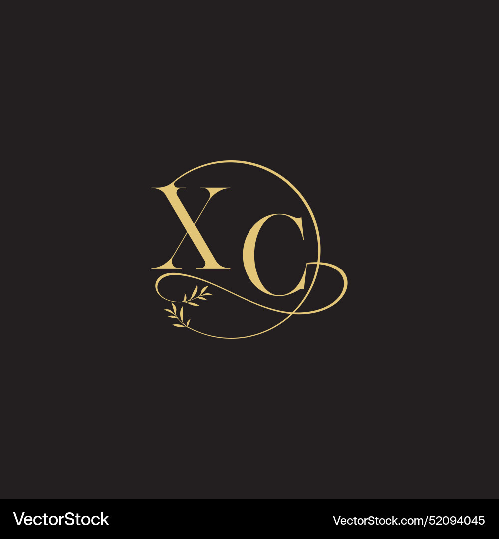 Xc letter circle and organic style luxury concept Vector Image