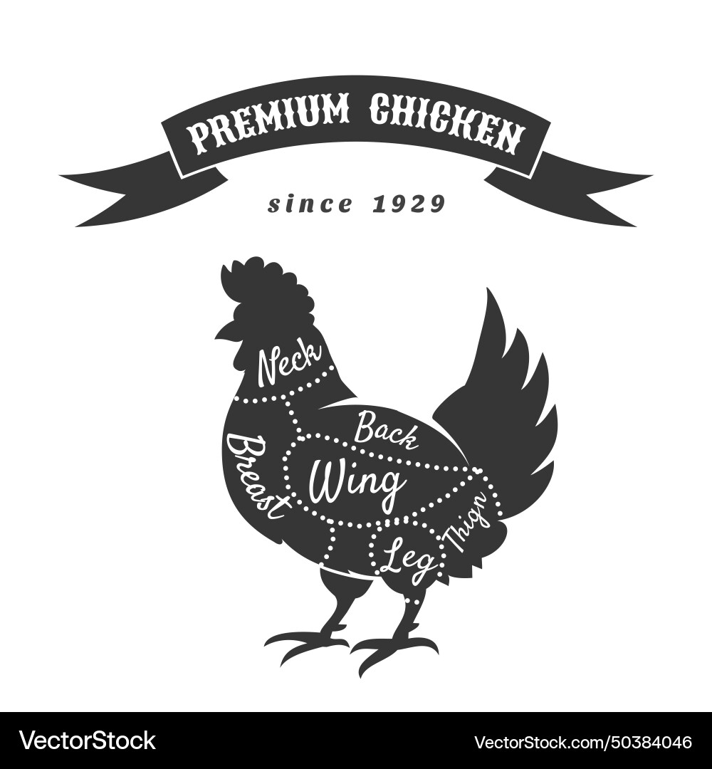 Chicken meat cuts diagram Royalty Free Vector Image