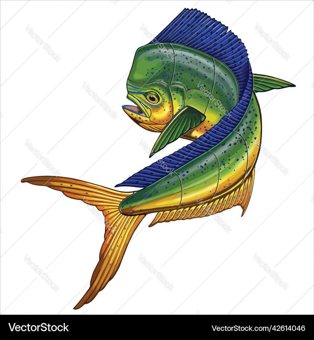 Mahi mahi multicolor coryphaena dolphin fly fish Vector Image