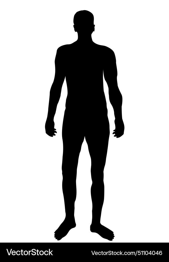 Man body silhouette isolated on white background Vector Image