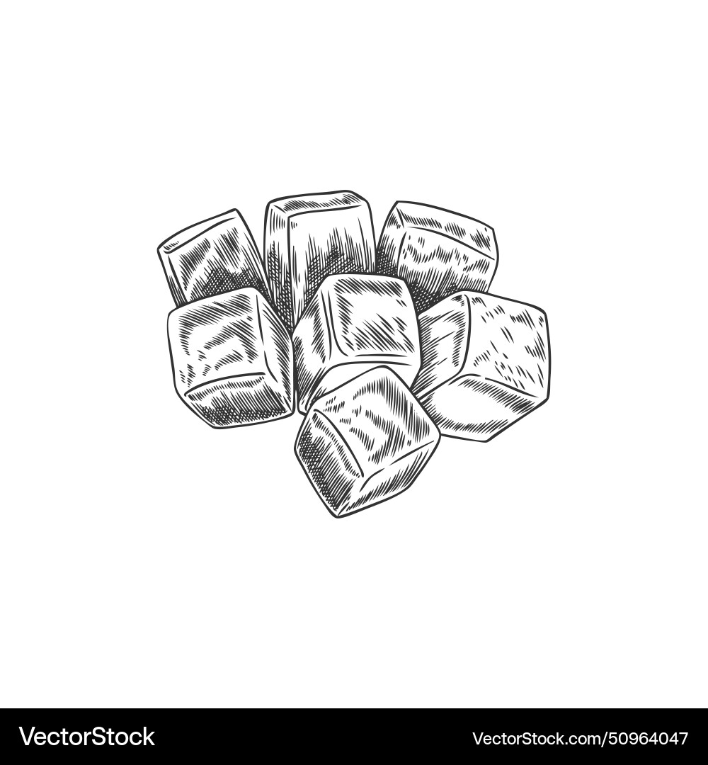 Ice cubes sketch Royalty Free Vector Image - VectorStock