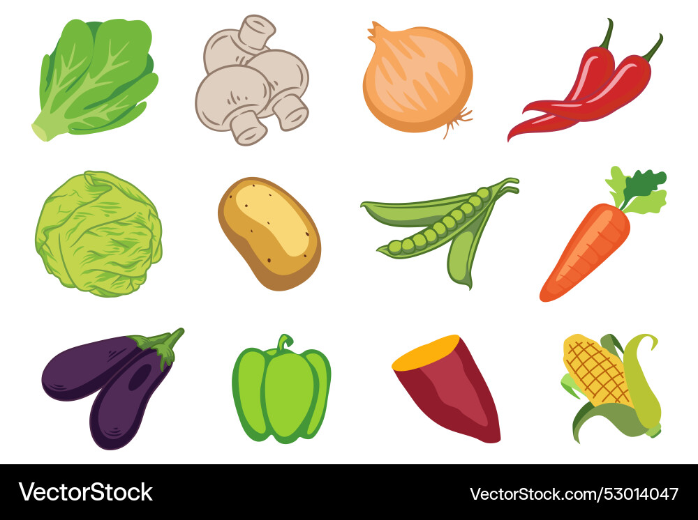 Set of vegetables in a flat design fresh Vector Image