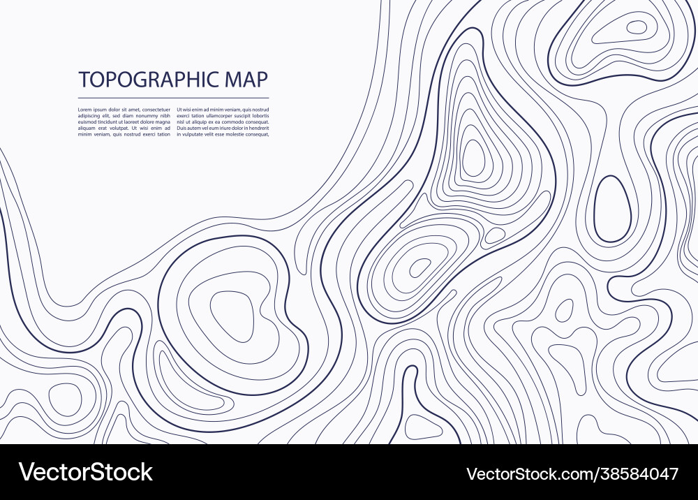 Topographic map contour geographic mapping Vector Image