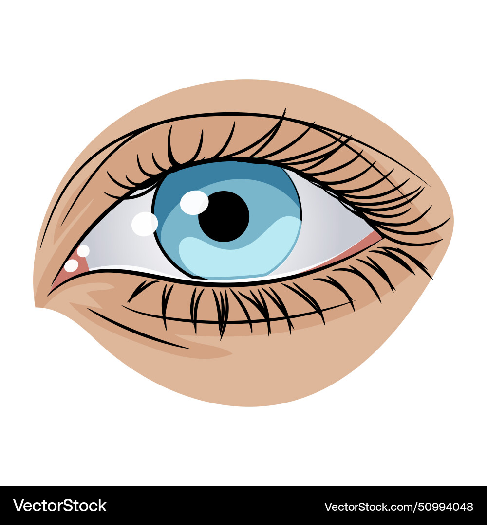 Close-up of a blue human eye Royalty Free Vector Image