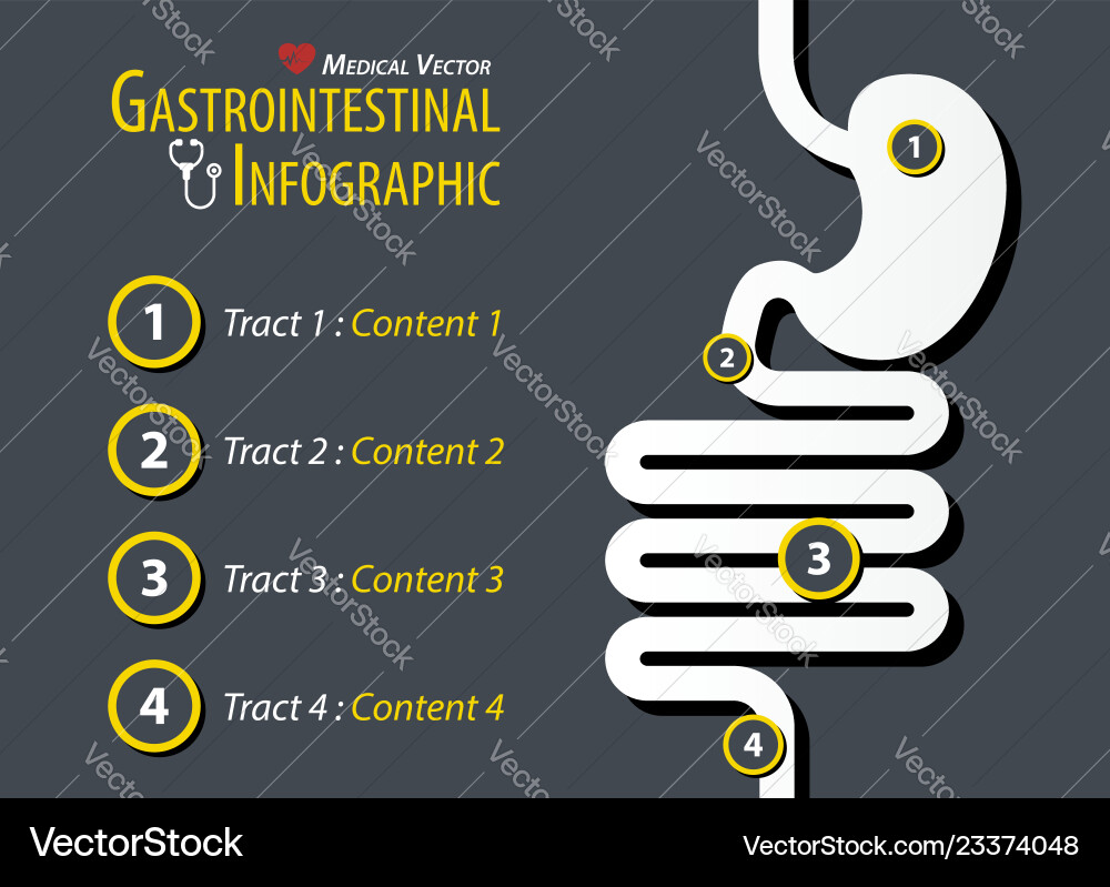 Gastroenteritis Vector Images (over 740)