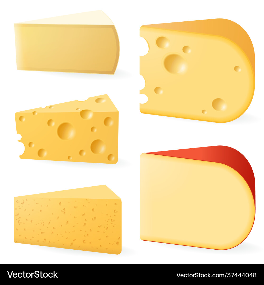 Various types cheese Royalty Free Vector Image