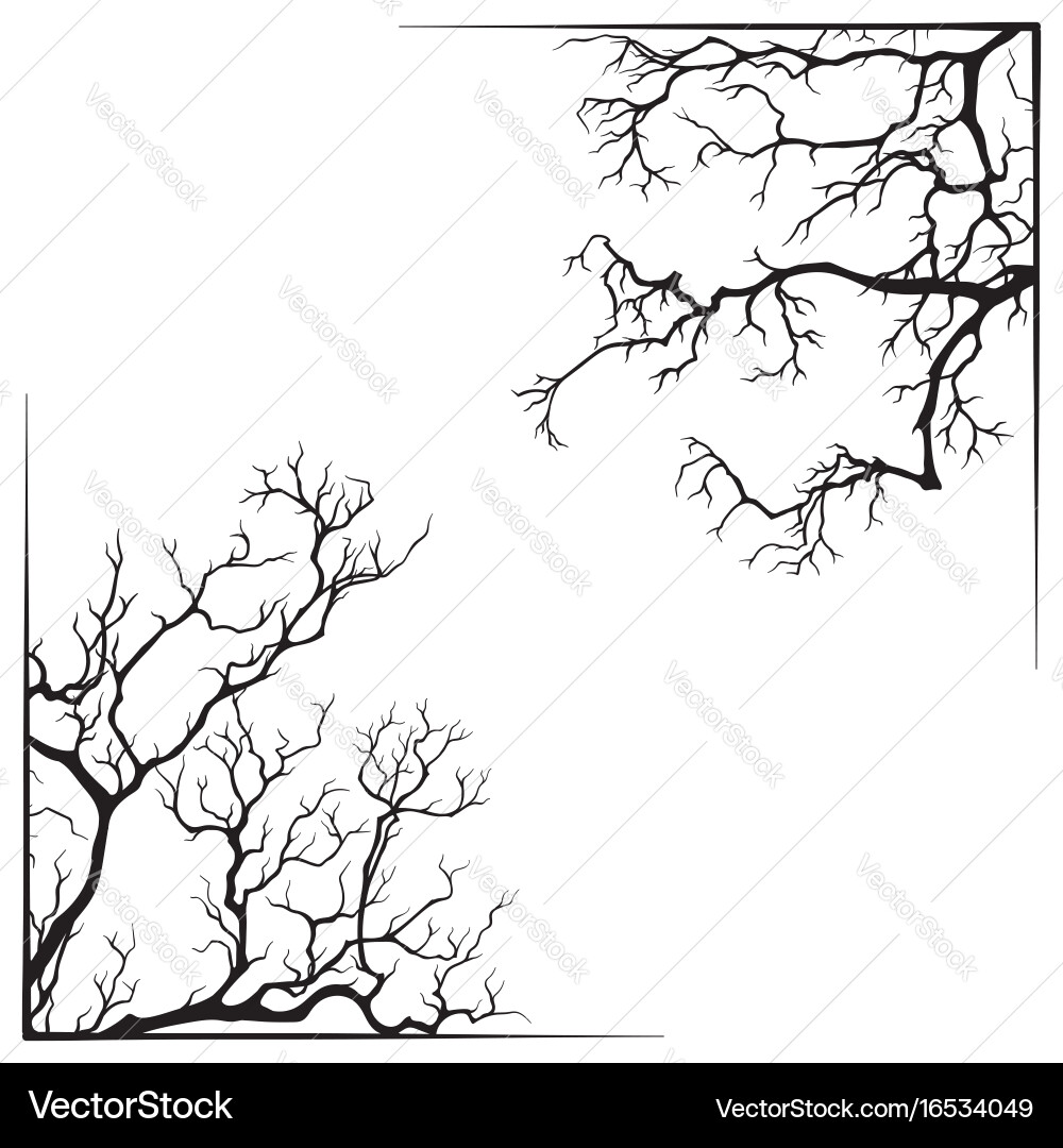 Branch borders halloween black and white print Vector Image