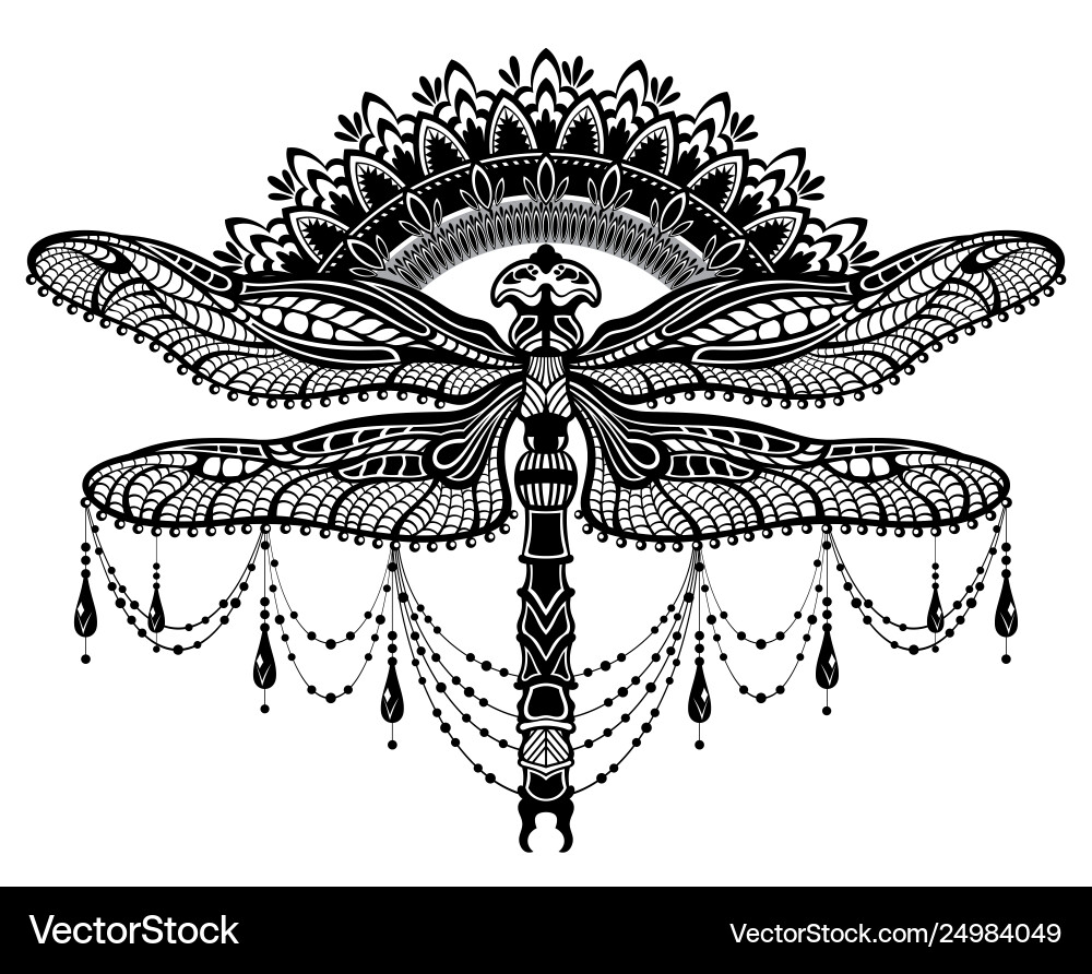 Dragonfly Royalty Free Vector Image - VectorStock