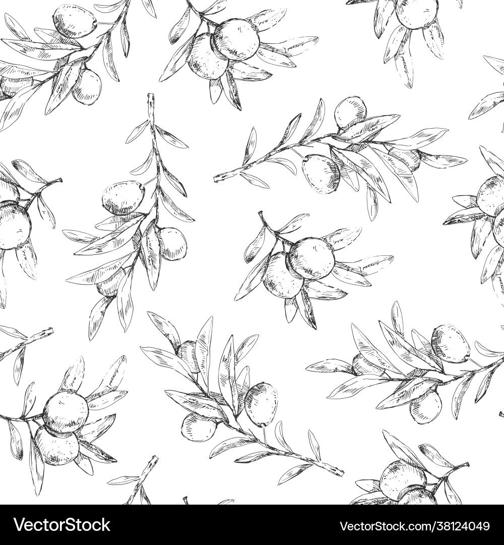 Olive Branch Pattern - Vintage Style Royalty Free Vector