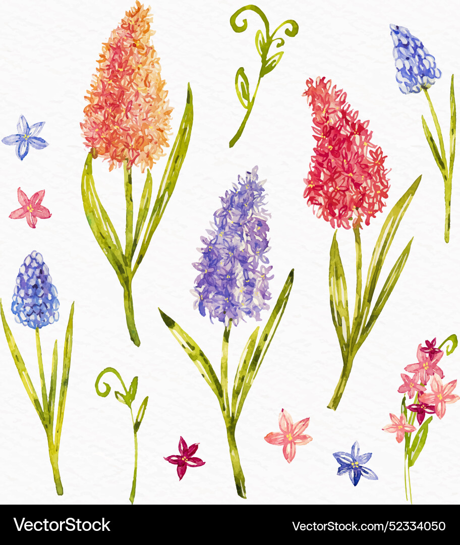 Assortment of spring flower collection Royalty Free Vector