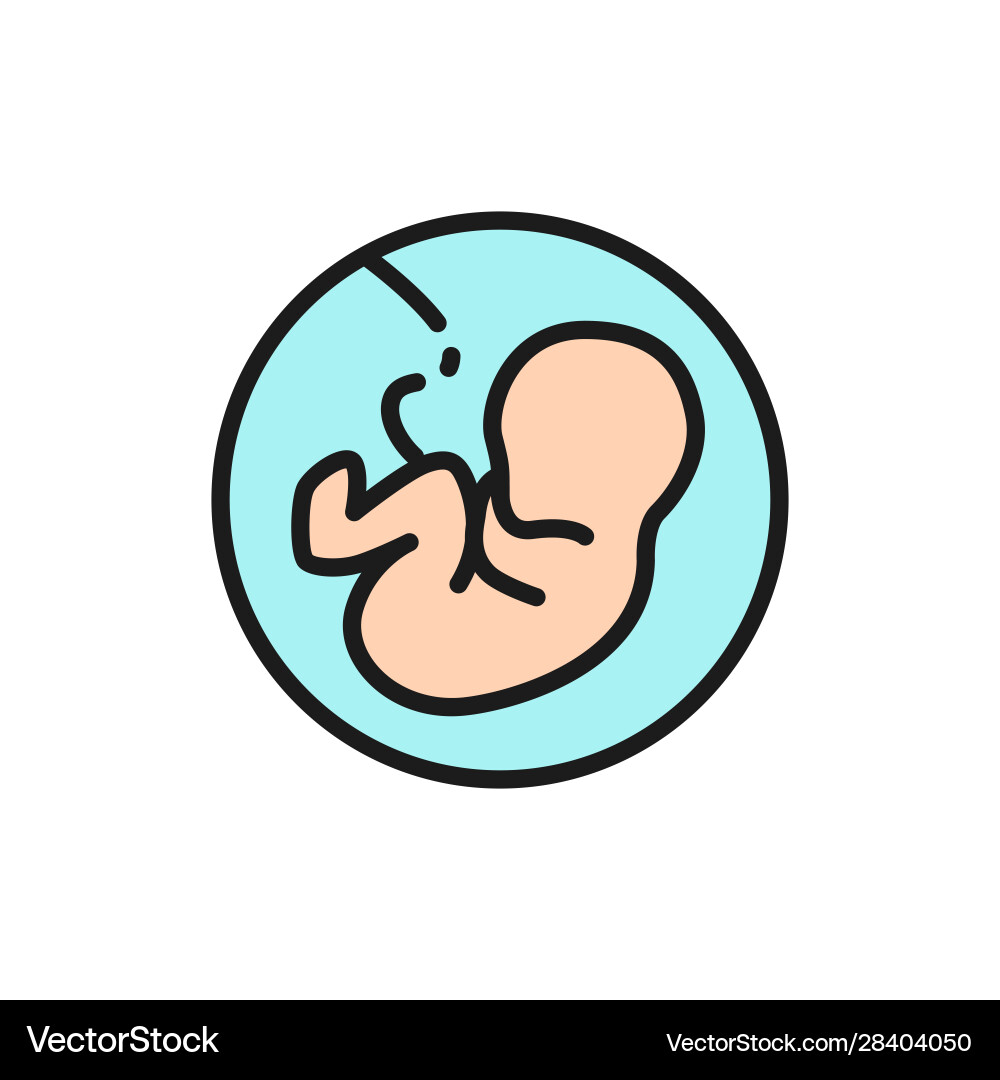 Human Embryo in Womb Flat Icon Royalty Free Vector Image