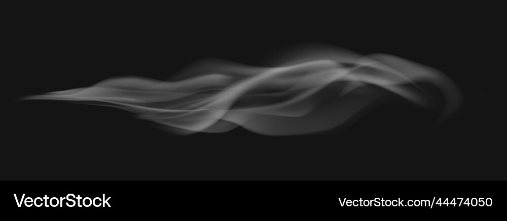 Smoke or fog air current wind Royalty Free Vector Image