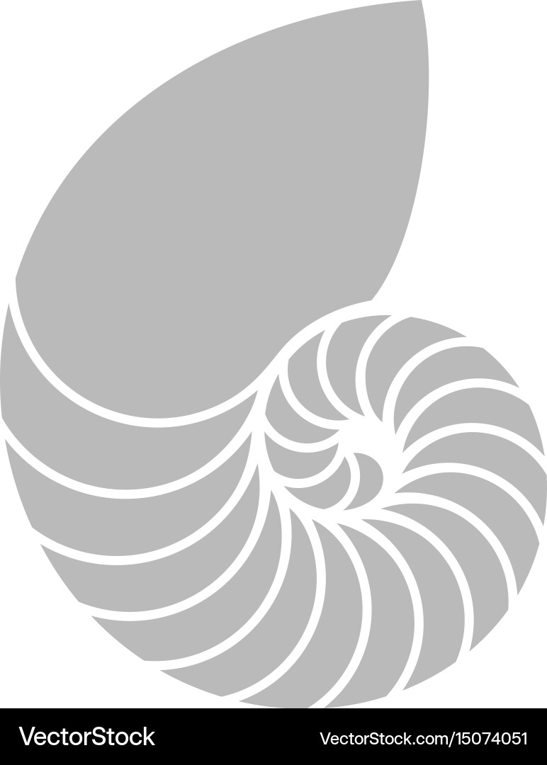Nautilus shell Royalty Free Vector Image - VectorStock