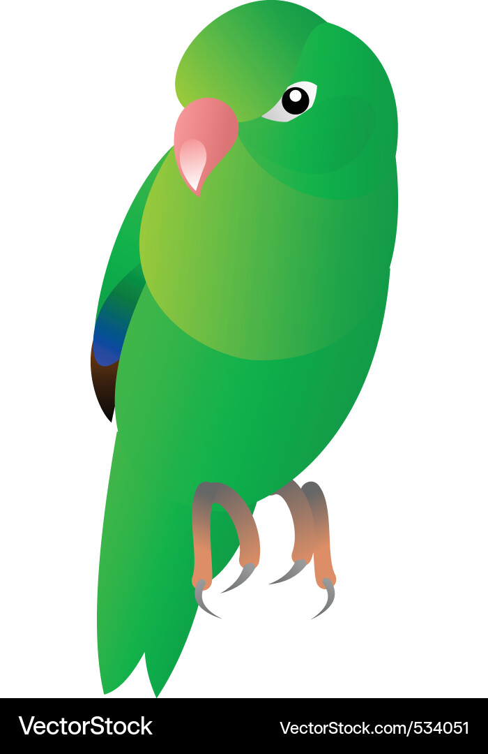 Parrot Royalty Free Vector Image - VectorStock