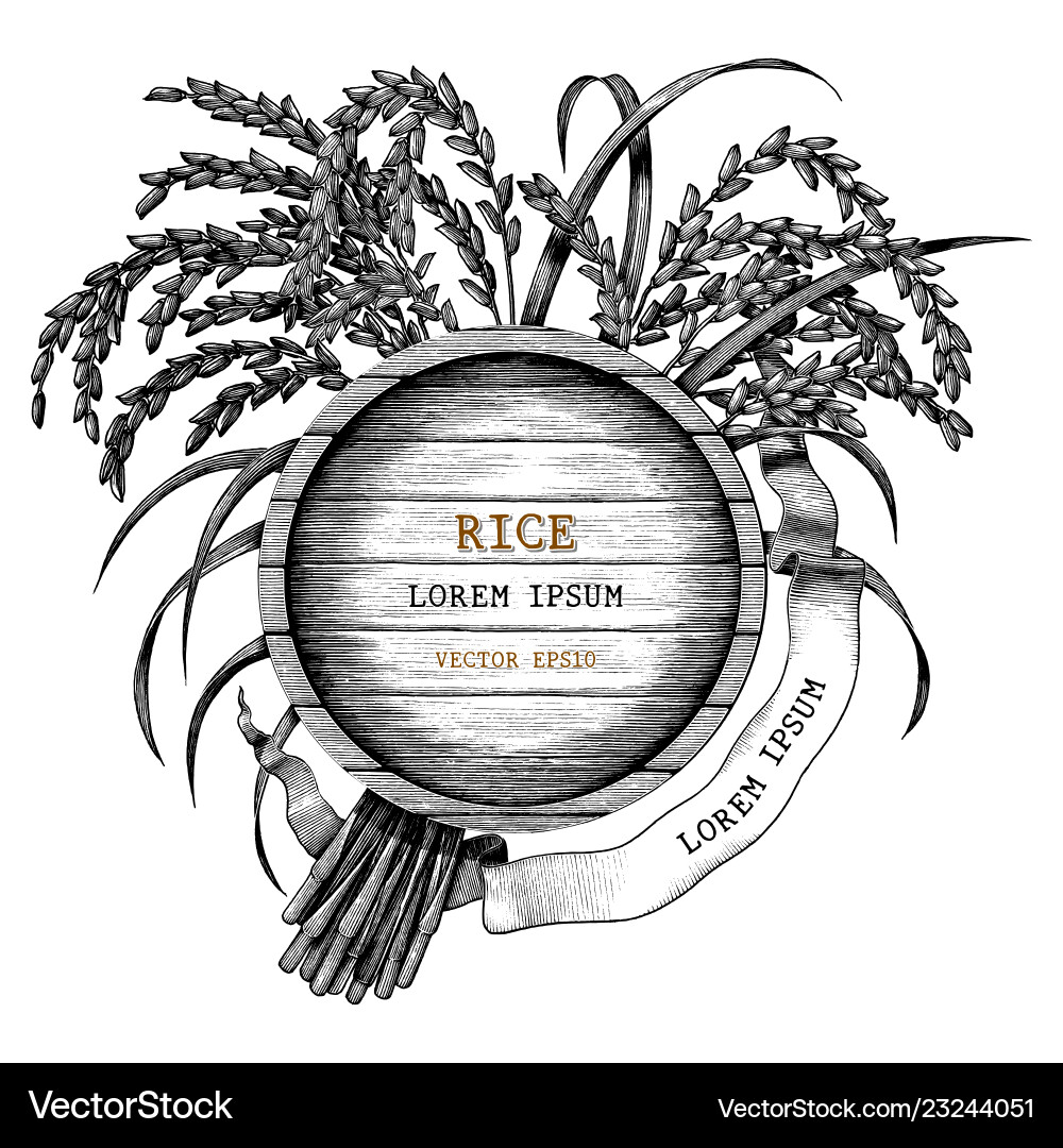 Rice Engraving Vector Images (over 870)